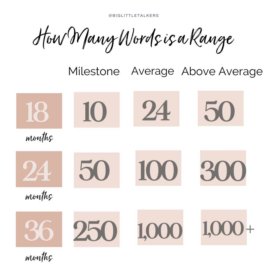 How Many Words Should My Toddler Use? | Big Little Talkers